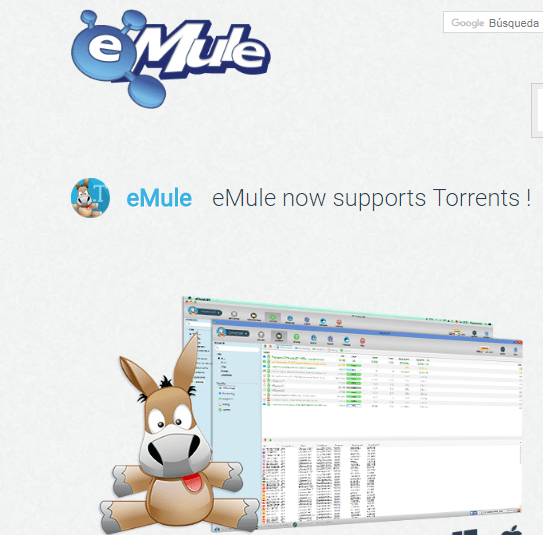 eMule : L'importance d'utiliser un VPN